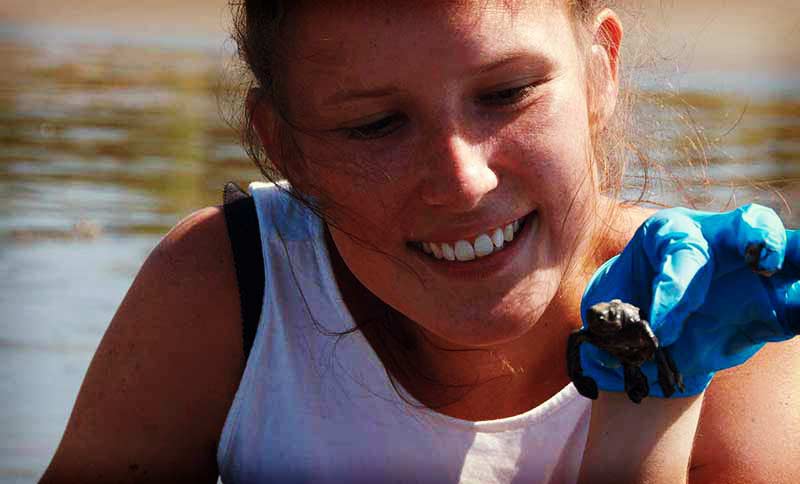 Volunteer in Costa Rica in Turtle Conservation | uVolunteer